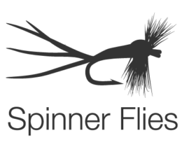 Basic Entomology For Fly Fishing | The Catch and The Hatch