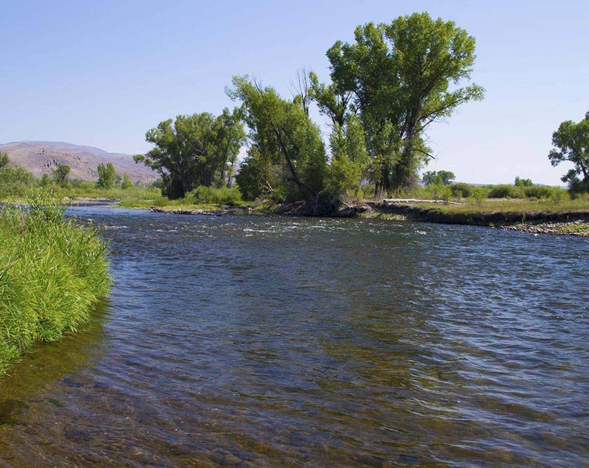 River Explorer Free Version | The Catch and The Hatch