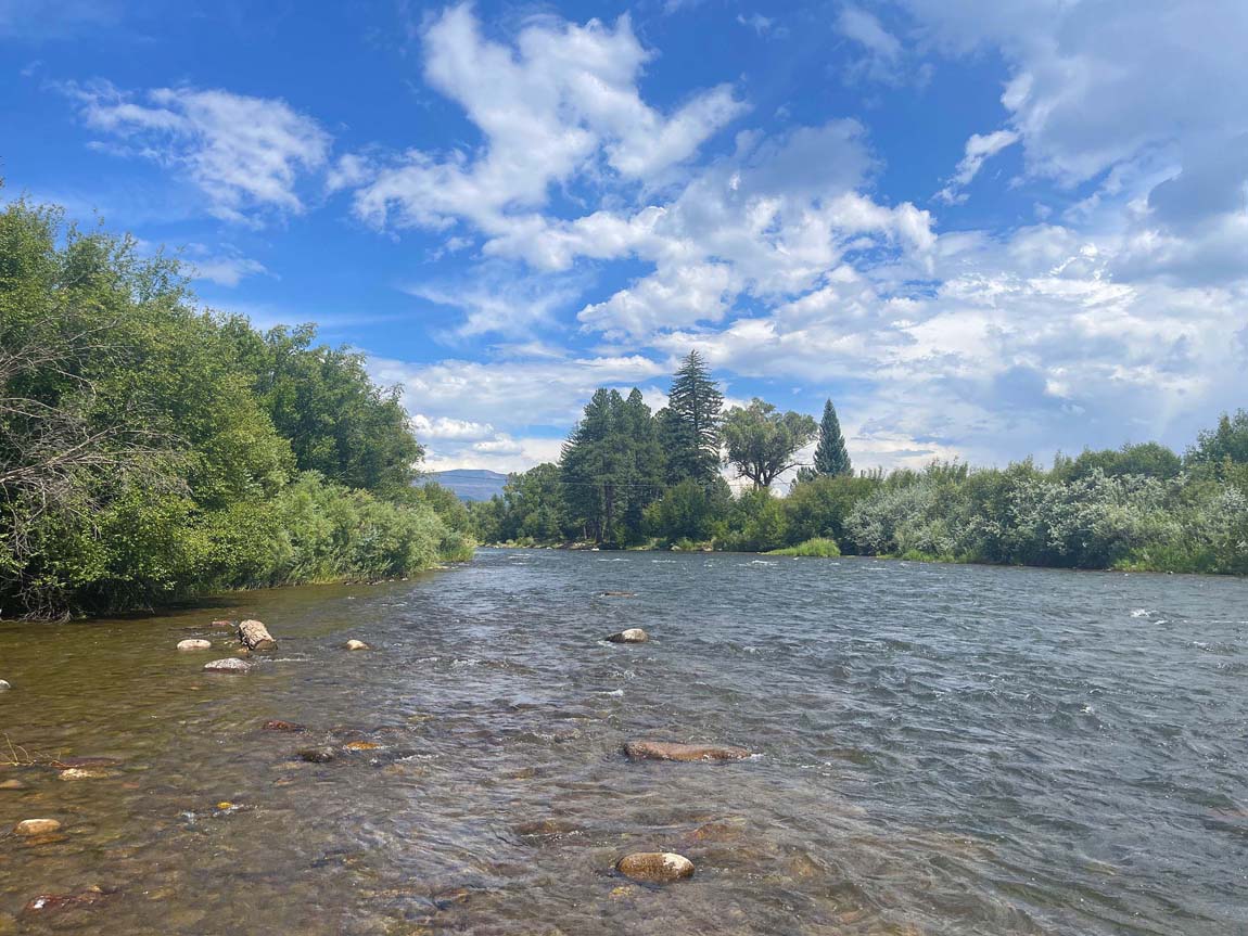 Roaring Fork River | The Catch and The Hatch