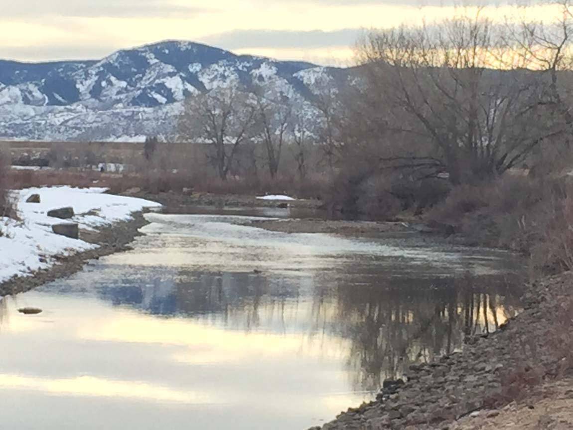 DSP - Denver South Platte River Section | The Catch and The Hatch