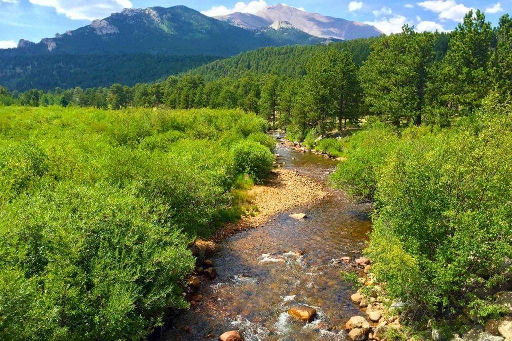 3 of Colorado's Best Kept Fly Fishing Secrets | The Catch and The Hatch