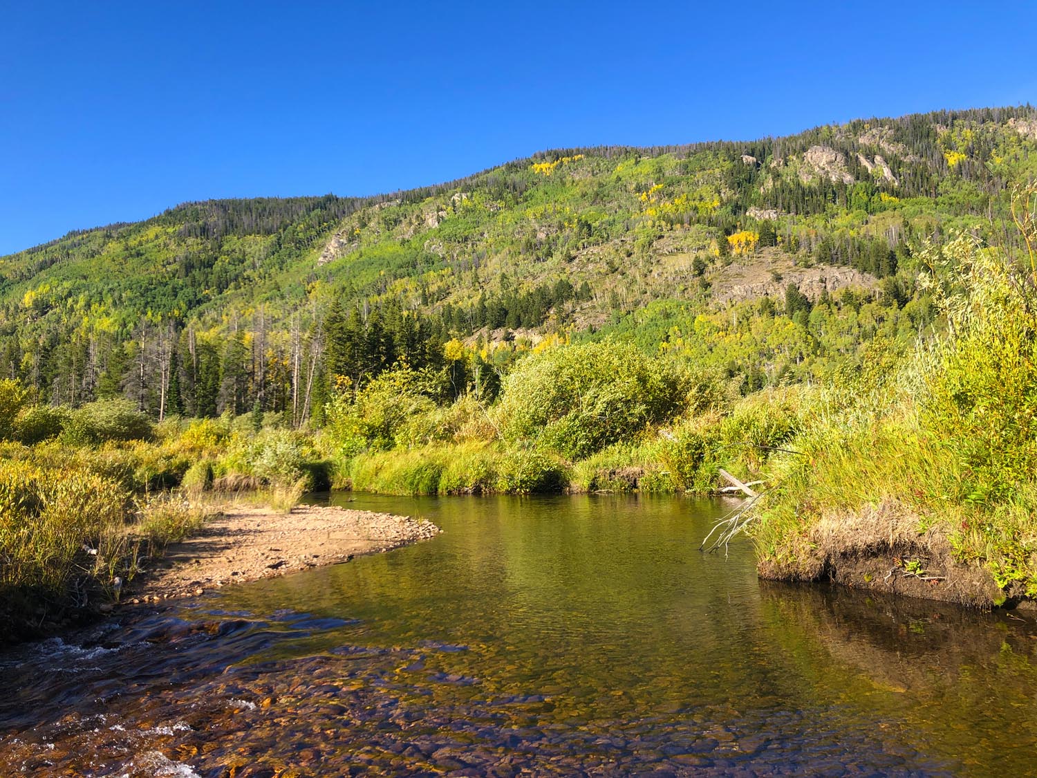 Bear Creek of The Animas River - Main Section | The Catch and The Hatch
