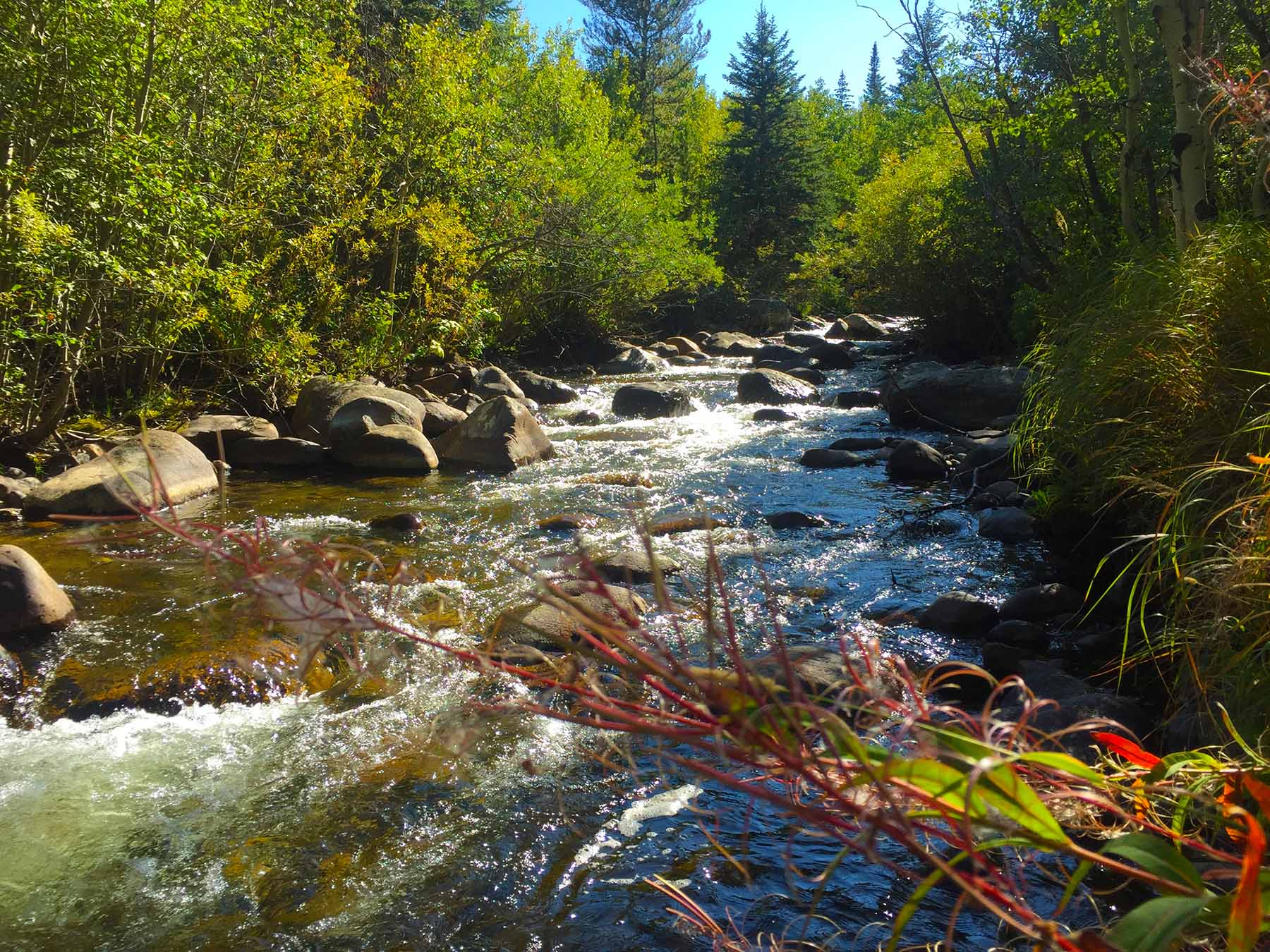 River Explorer Free Version | The Catch and The Hatch