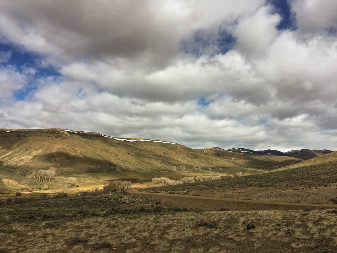 Beaver Creek of Gunnison River | The Catch and The Hatch