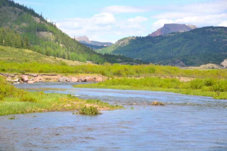 River Explorer Free Version | The Catch and The Hatch