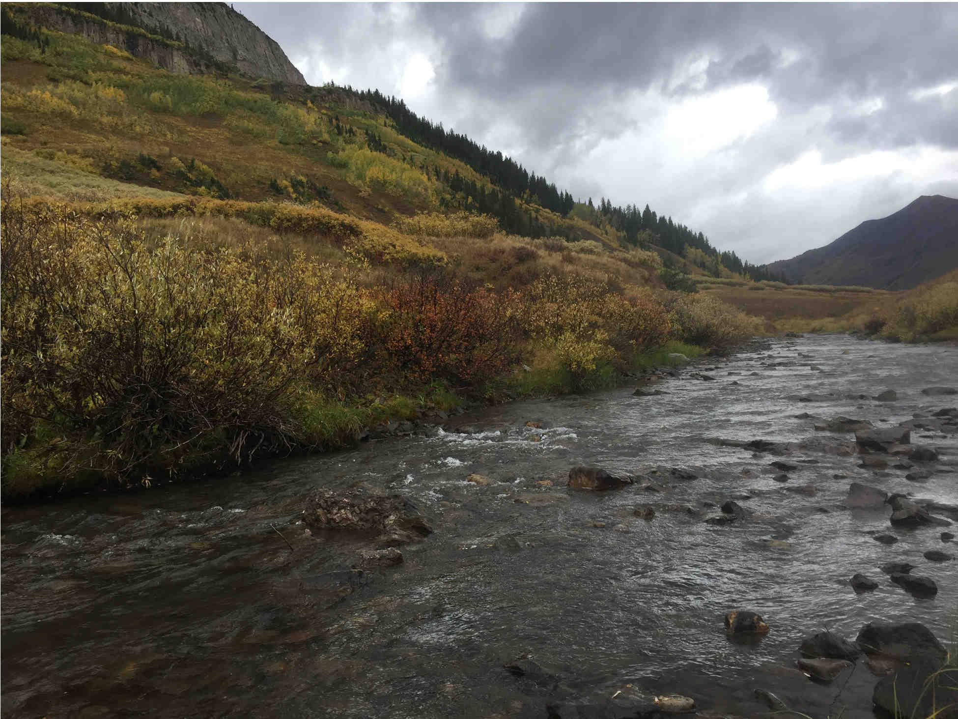 Copper Creek | The Catch and The Hatch