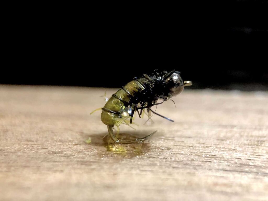 Modern Nymph Flies Course | The Catch and The Hatch