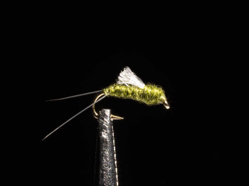 Micro Fly Assortment for Fly Fishing | The Catch and The Hatch