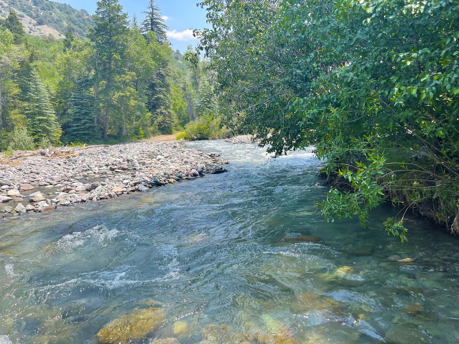River Explorer Free Version | The Catch and The Hatch