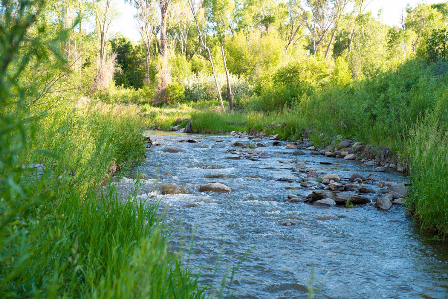 Dallas Creek | The Catch and The Hatch