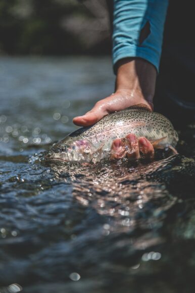 How to Start Euro Nymphing: A Complete Beginner's Guide | The Catch and ...
