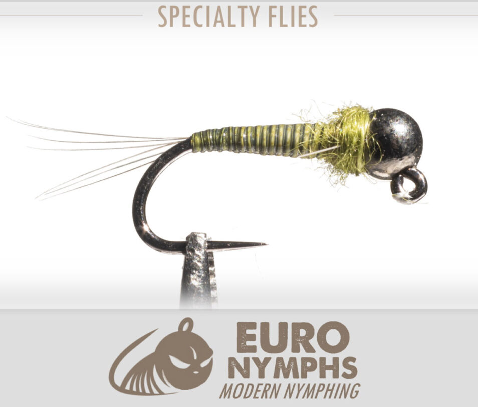 Frenchie Euro Nymphs - 6 pack | The Catch and The Hatch