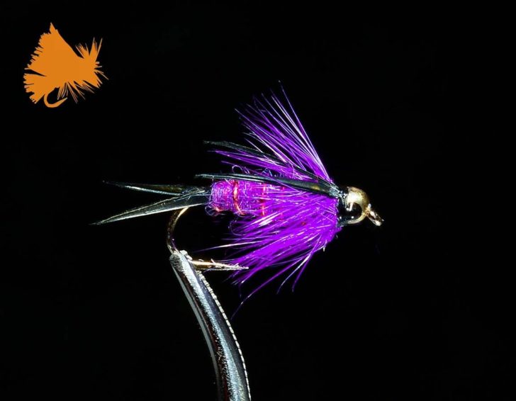 Four Kinds of Fishing Flies | The Catch and The Hatch