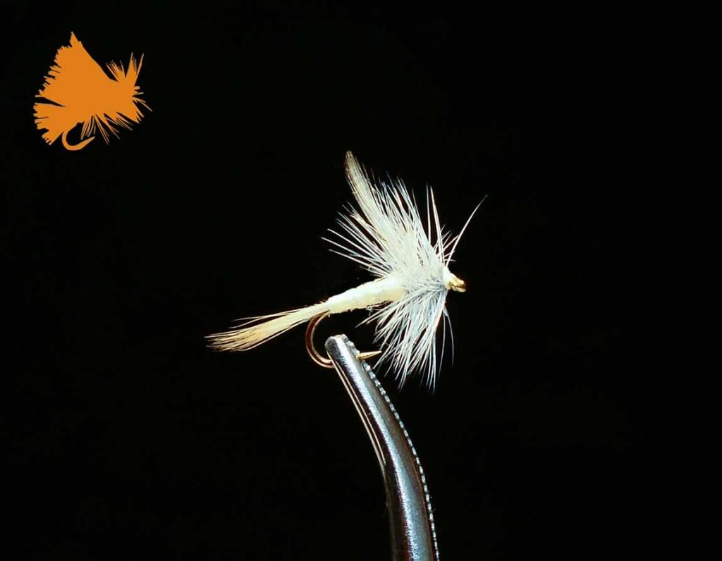 Dry Fly Assortment | The Catch and The Hatch